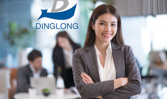 Dinglong Reports Significant Growth in Fiscal Year 2021 - RTM World